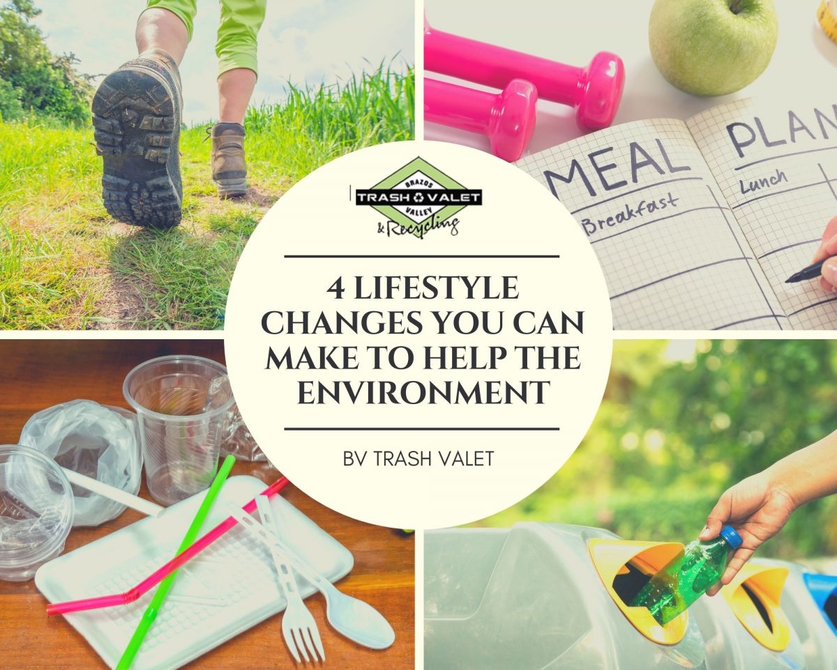 4 Lifestyle Changes You Can Make To Help the Environment - BV Trash ...