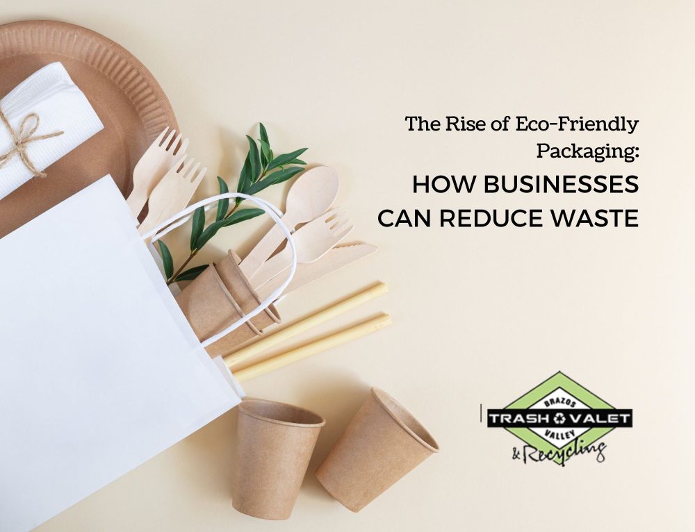 The Top 5 Eco-Friendly Alternatives to Single-Use Plastics in 2025 - BV ...