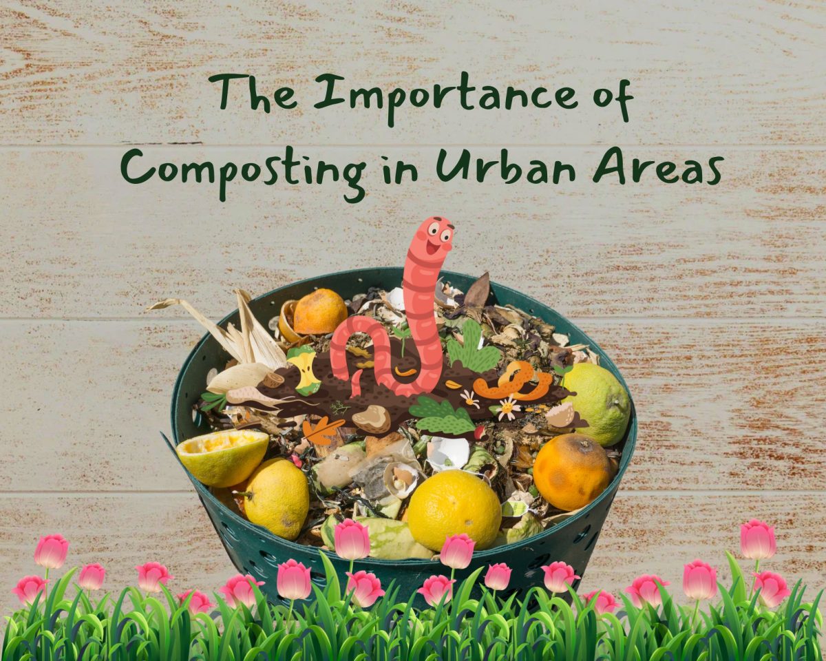 The Importance of Composting in Urban Areas