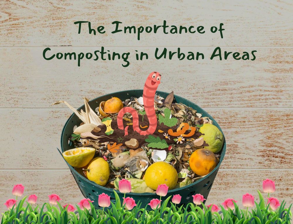 Affordable and Effective Ways to Create Your Own Compost Bin Using ...
