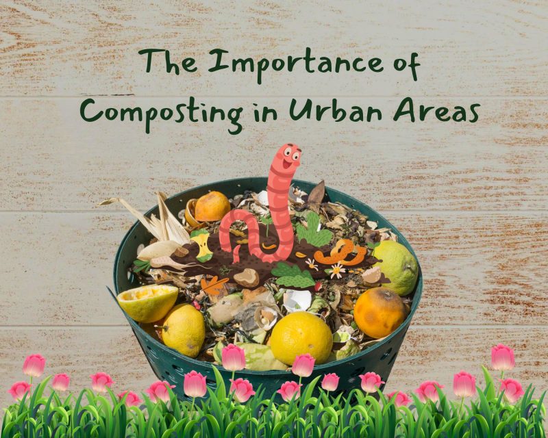 The Importance of Composting in Urban Areas
