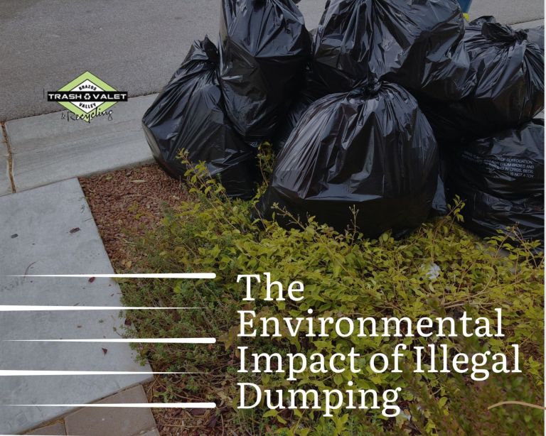 The Environmental Impact of Illegal Dumping - BV Trash Valet & Recycling